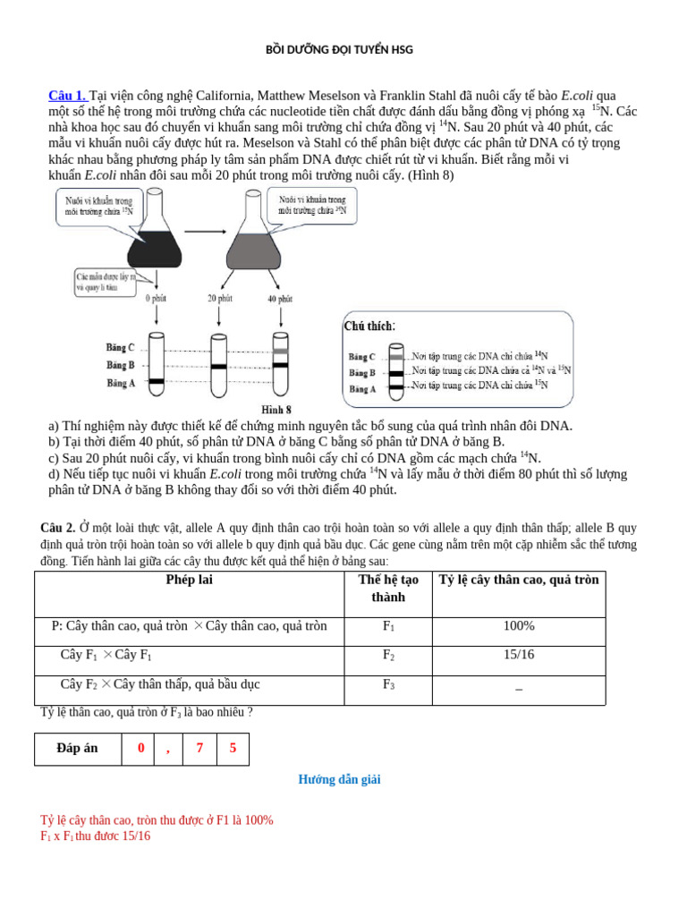 Luyện Đề Hsg Lop 12.8 | PDF