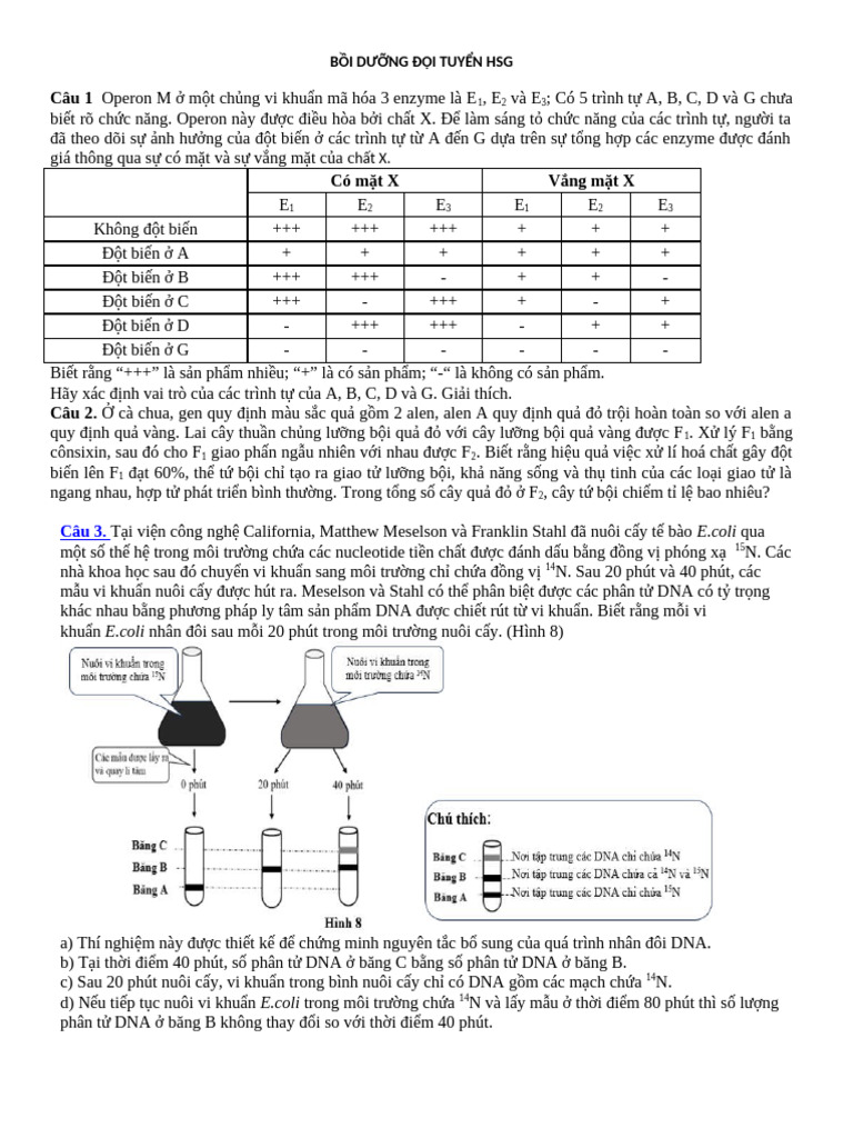 Luyện Đề Hsg Lop 12.12 | PDF