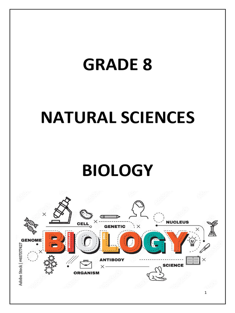 Grade 8 Biology: Photosynthesis & Ecology | PDF | Photosynthesis | Food Web