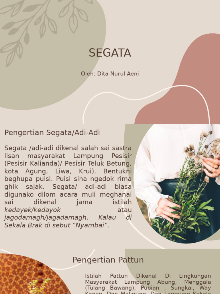 Pengertian dan Jenis Segata Lampung | PDF