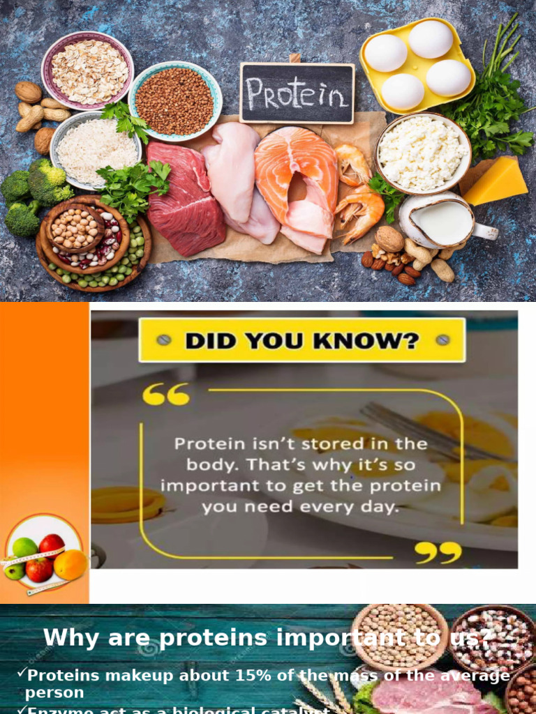 Proteins | PDF