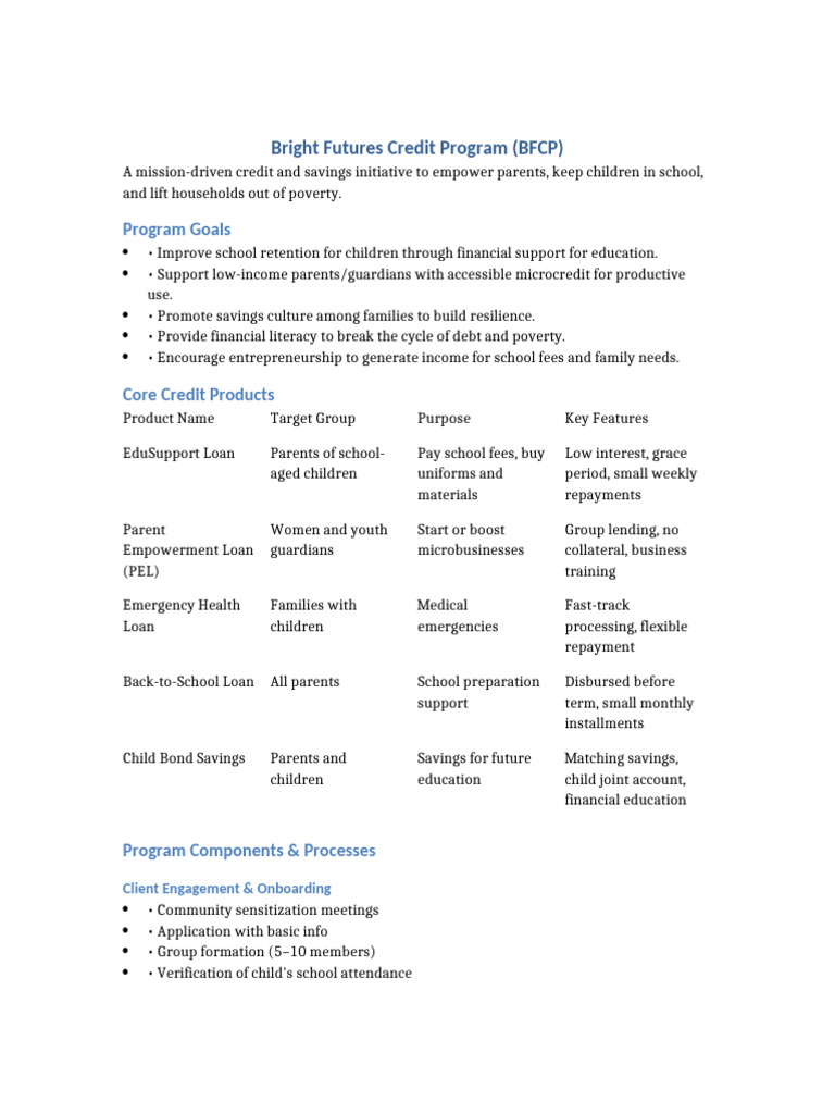 Bright Futures Credit Program | PDF | Loans | Credit