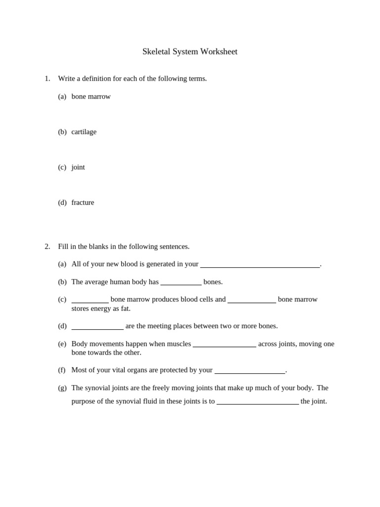 Ball-and-Socket Joint Overview | PDF | Skeleton | Bone