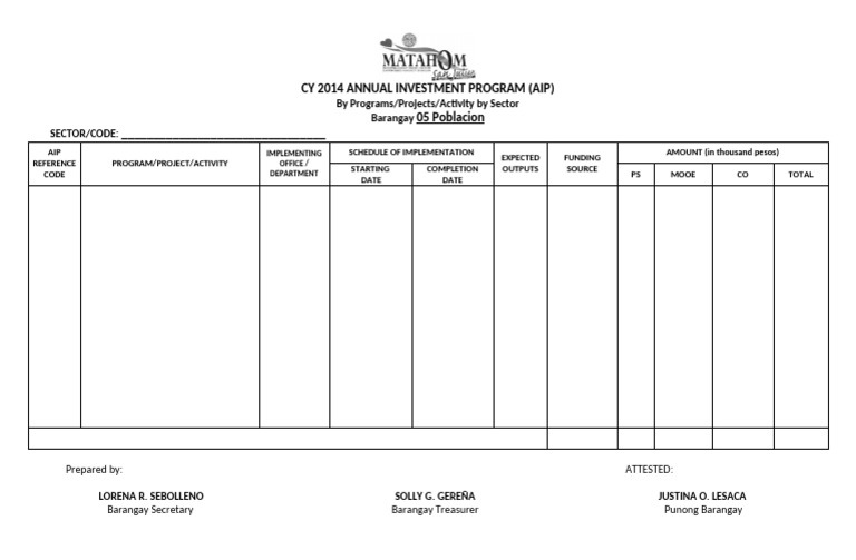 2-Brgy. Aip Form-By Programs, Projects, Activity by Sector | PDF