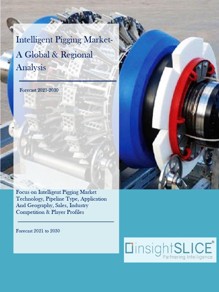 Intelligent Pigging Market Analysis 2021-2030 | PDF | Market (Economics ...