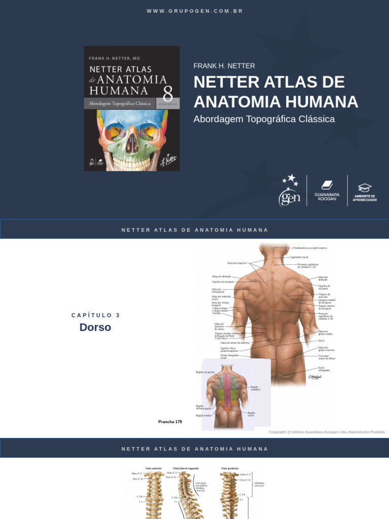 Atlas de Anatomia Humana Netter 8ª Edição | PDF