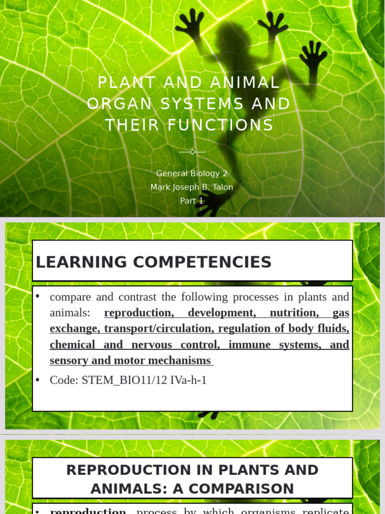 Plant and Animal Reproductive Systems | PDF | Pollination | Flowers