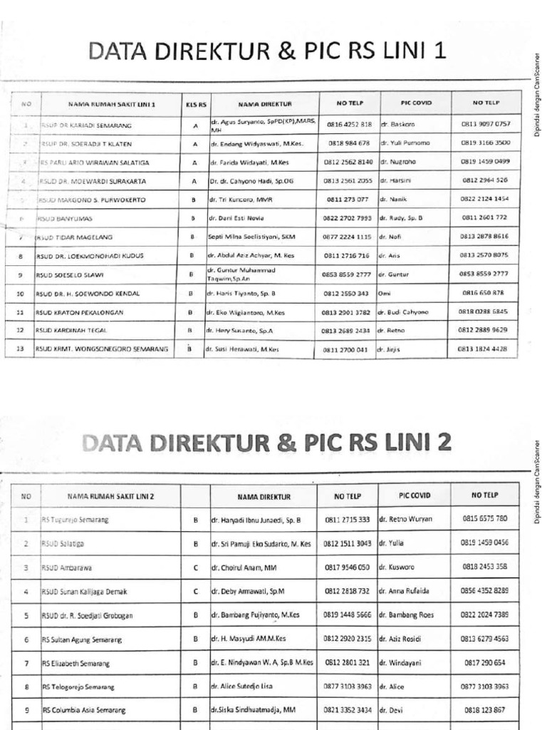 Direktur Dan PIC RS Lini 123 | PDF