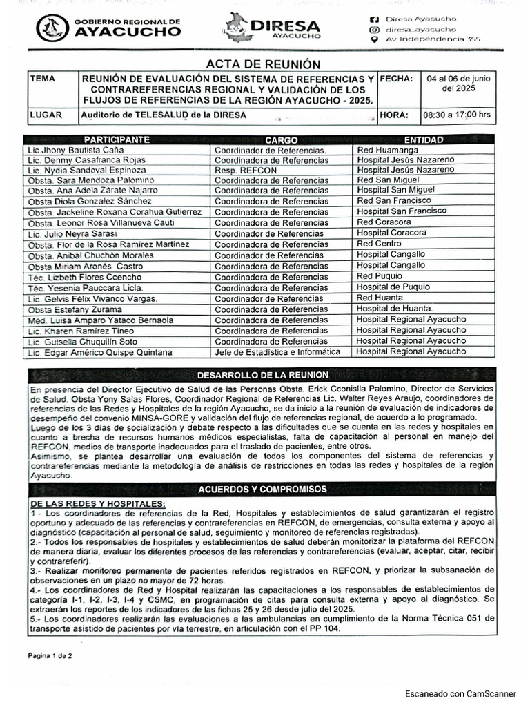 Acta de Acuerdos 04 Al 06 de Junio 2025-DIRESA REFCON | PDF