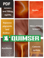 Elementis-Bentone Ew - TDS | PDF | Paint | Industrial Processes