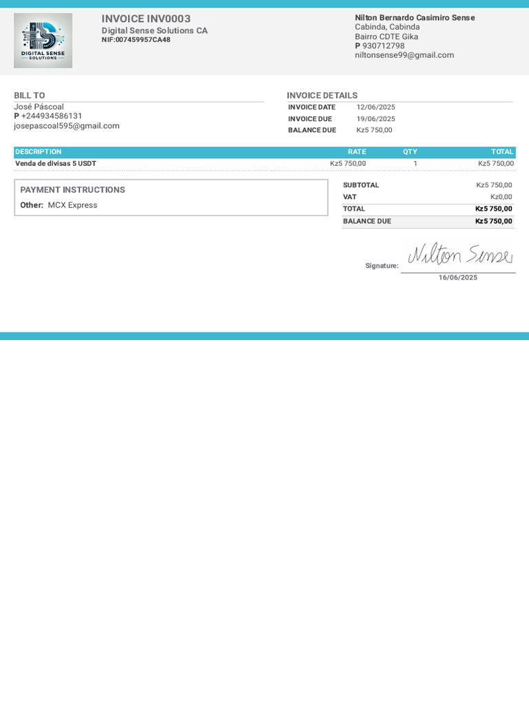 Invoice INV0003 - Digital Sense Solutions | PDF