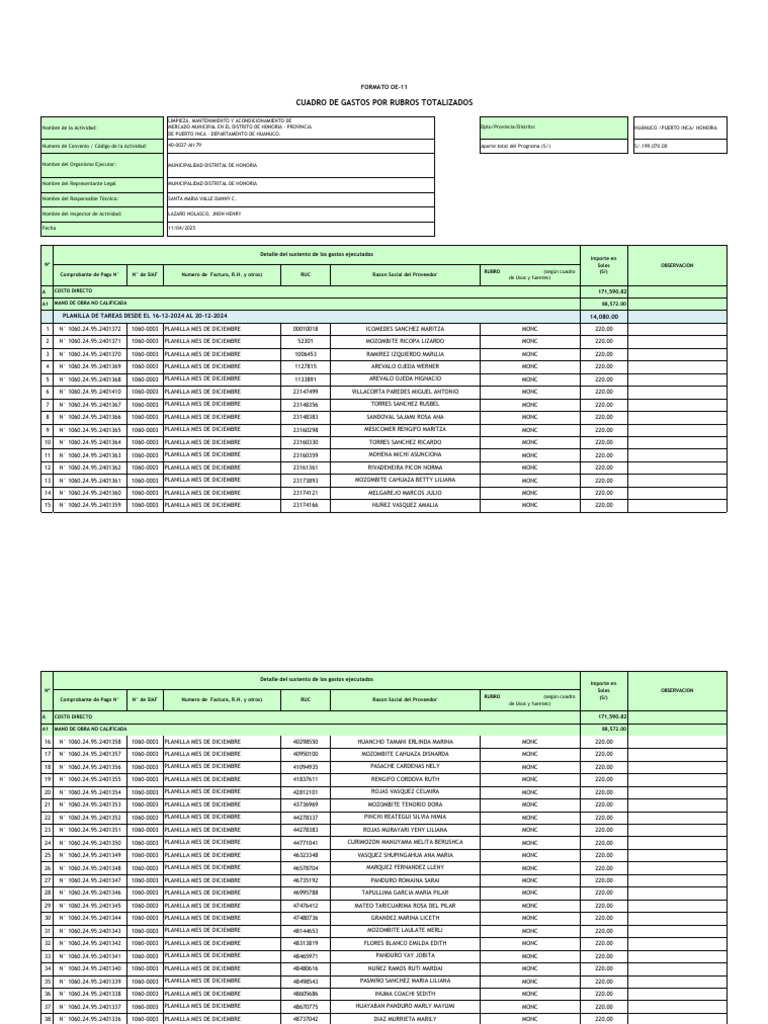 Formato Oe-11 | PDF | Personal | Labor