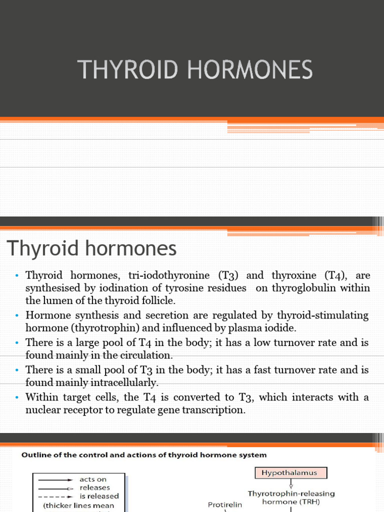 Thyroid Hormones | PDF