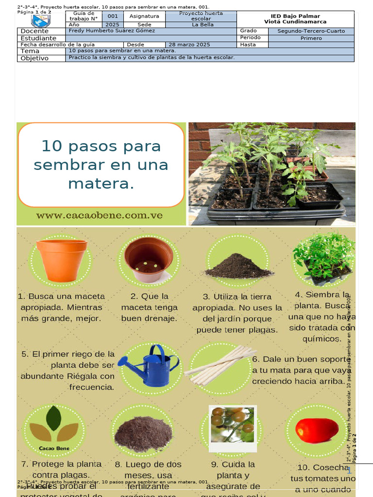 2° 3° 4° proyecto sembrar en casa 28 marzo 2025 001 | PDF