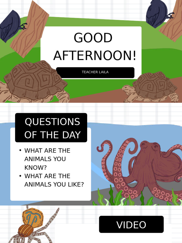 Vertebrates and Invertebrates Presentation in An Illustrative Style | PDF