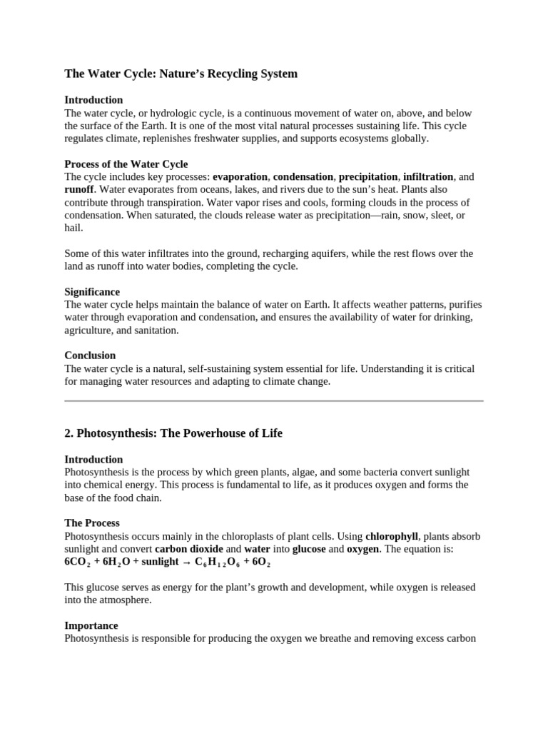 The Water Cycle | PDF