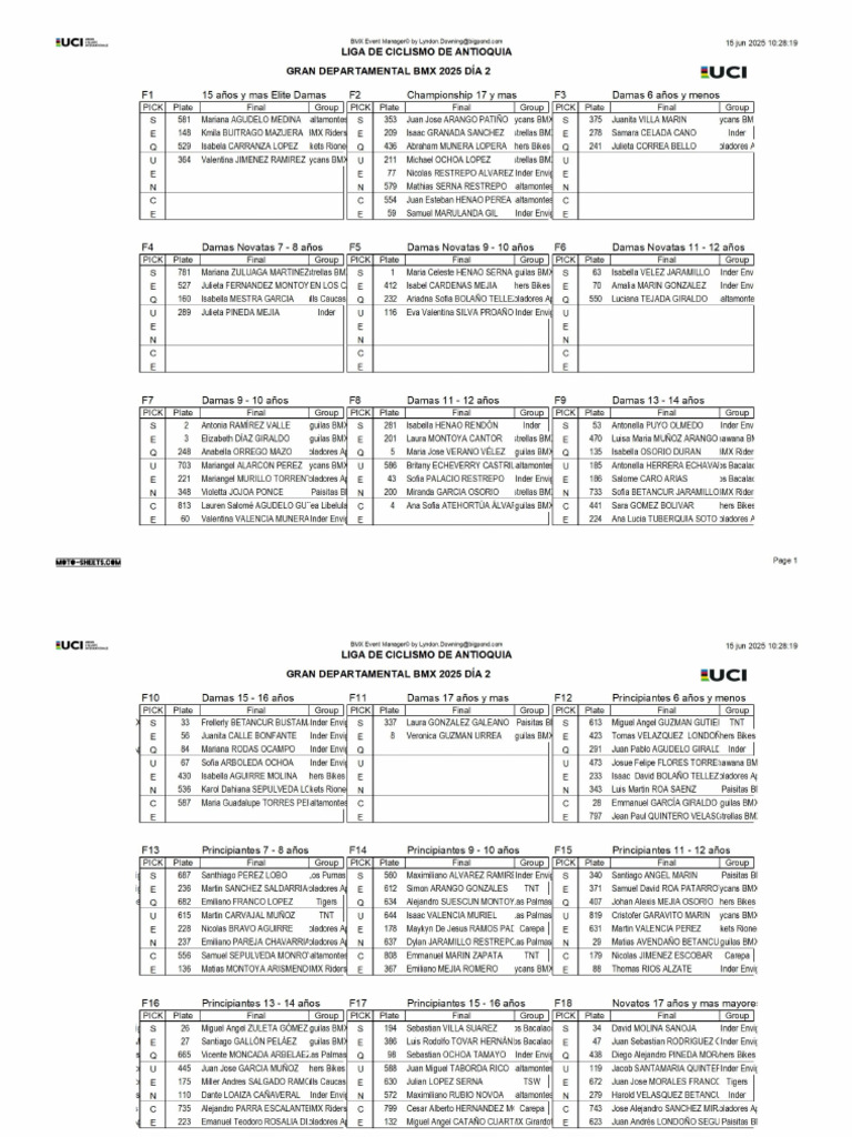 Finales Gran Departamental d2 | PDF