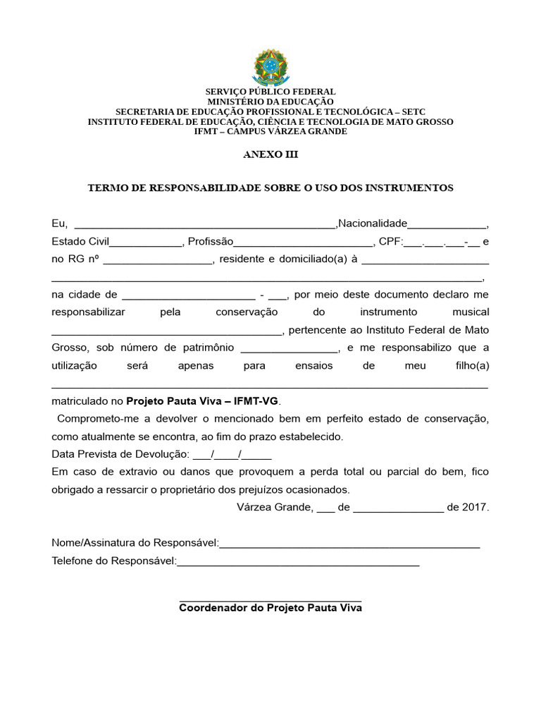 Anexo III Termo de Responsabilidade No Uso Dos Instrumentos | PDF