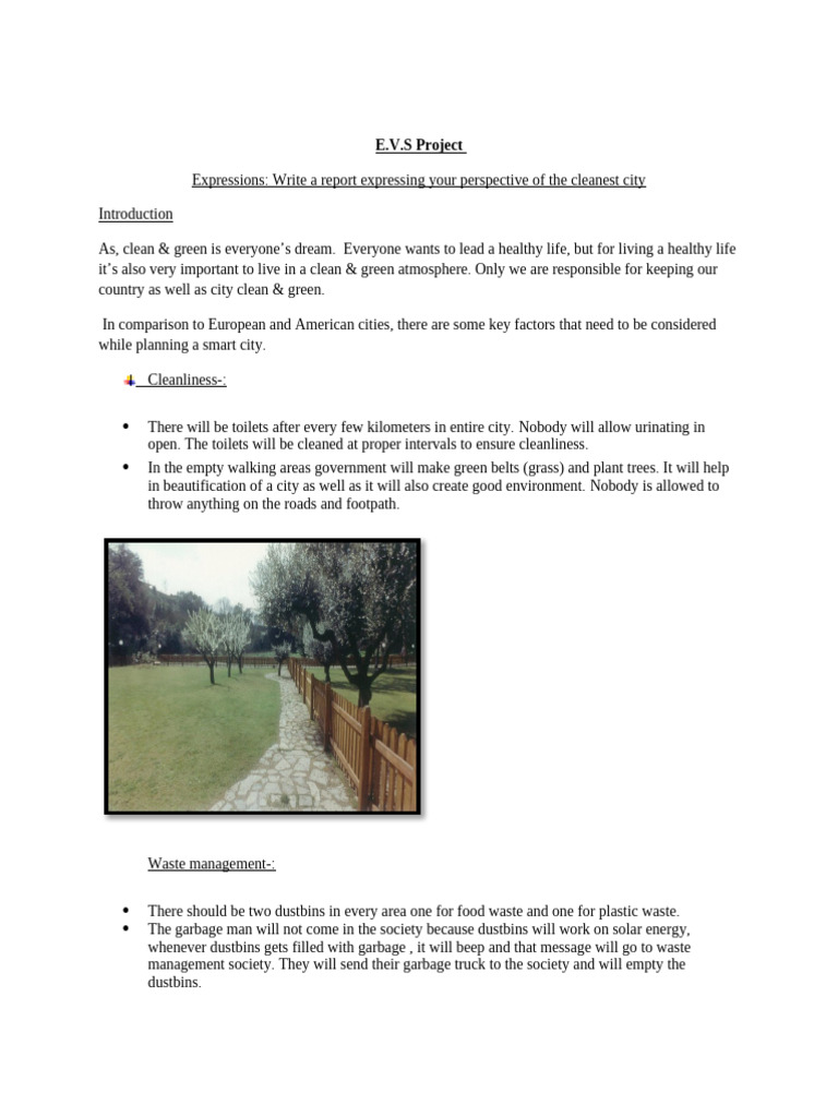 Features of A Clean and Developed City | PDF