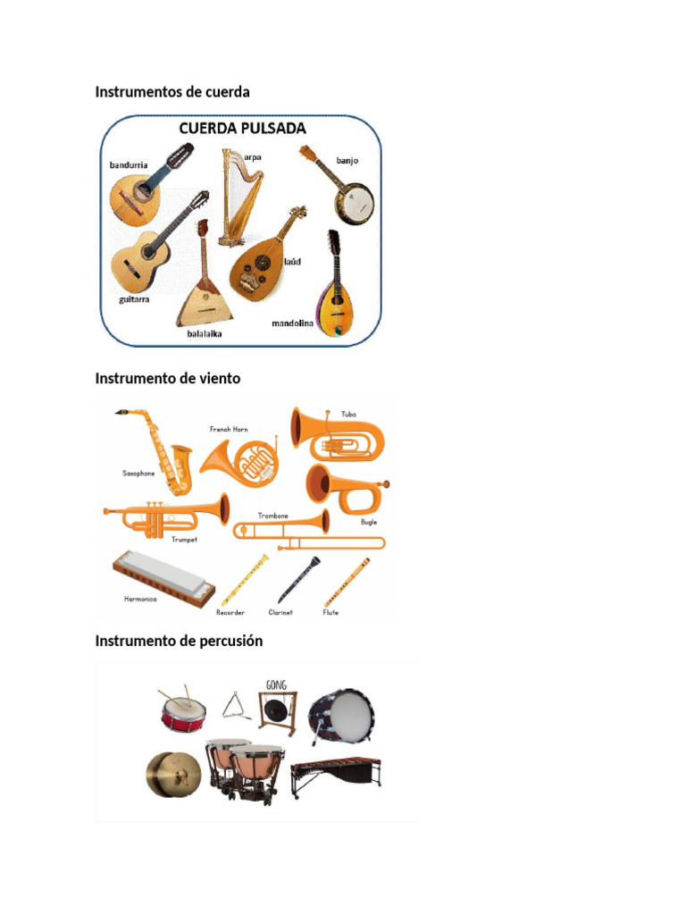 Instrumentos de Cuerda | PDF