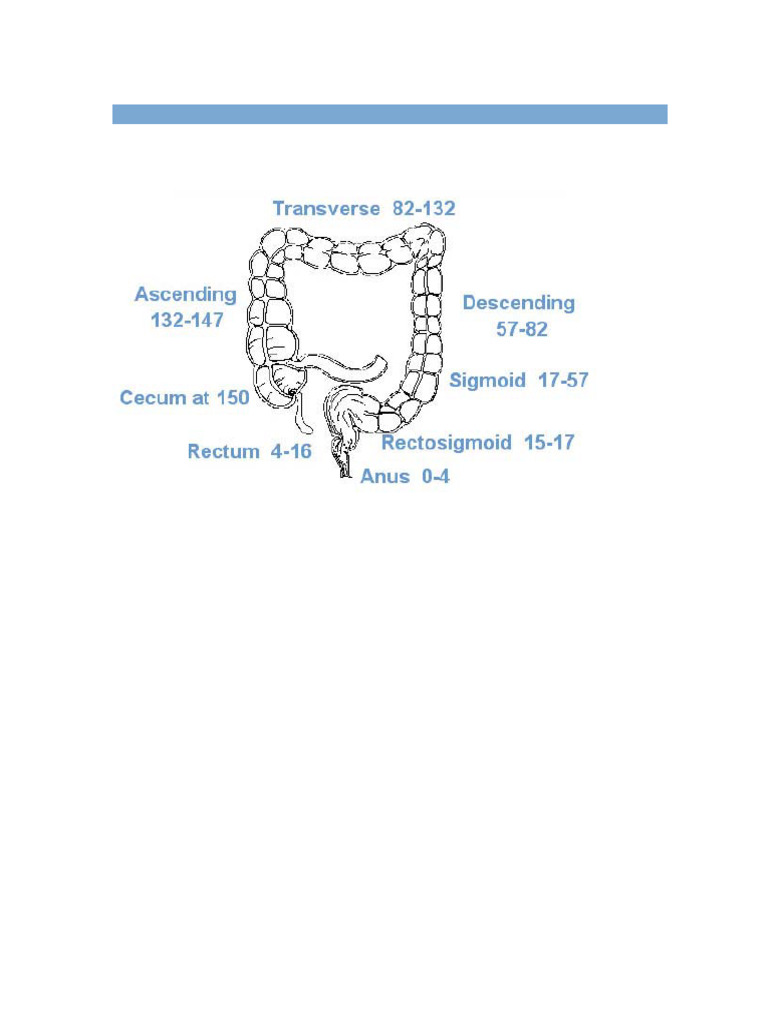 Colonoscopy Measurements | PDF