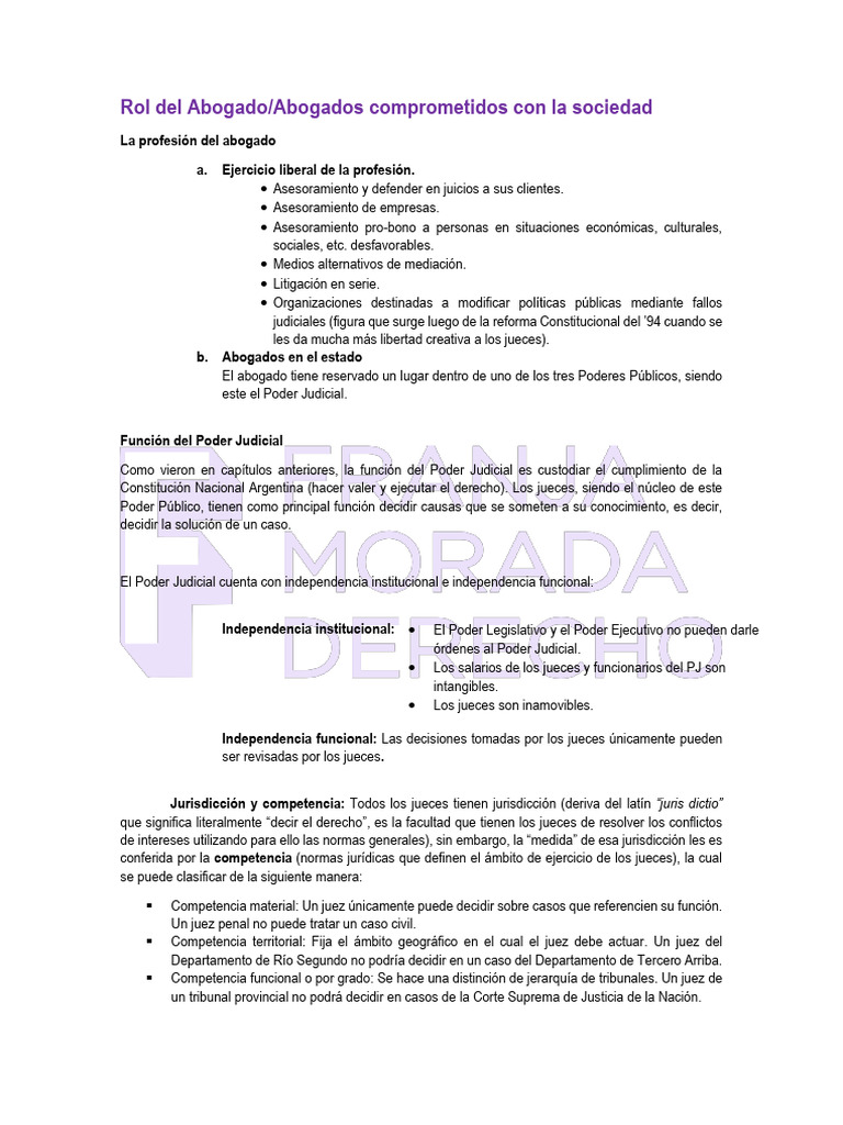 Resumen Rol Del Abogado-2do Tomo 2024 - Franja Morada | PDF | Judicaturas | Juez