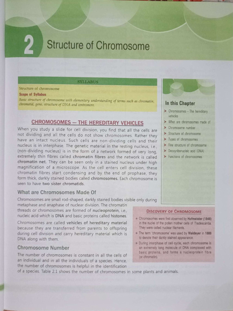 2) Structure of Chromosome | PDF