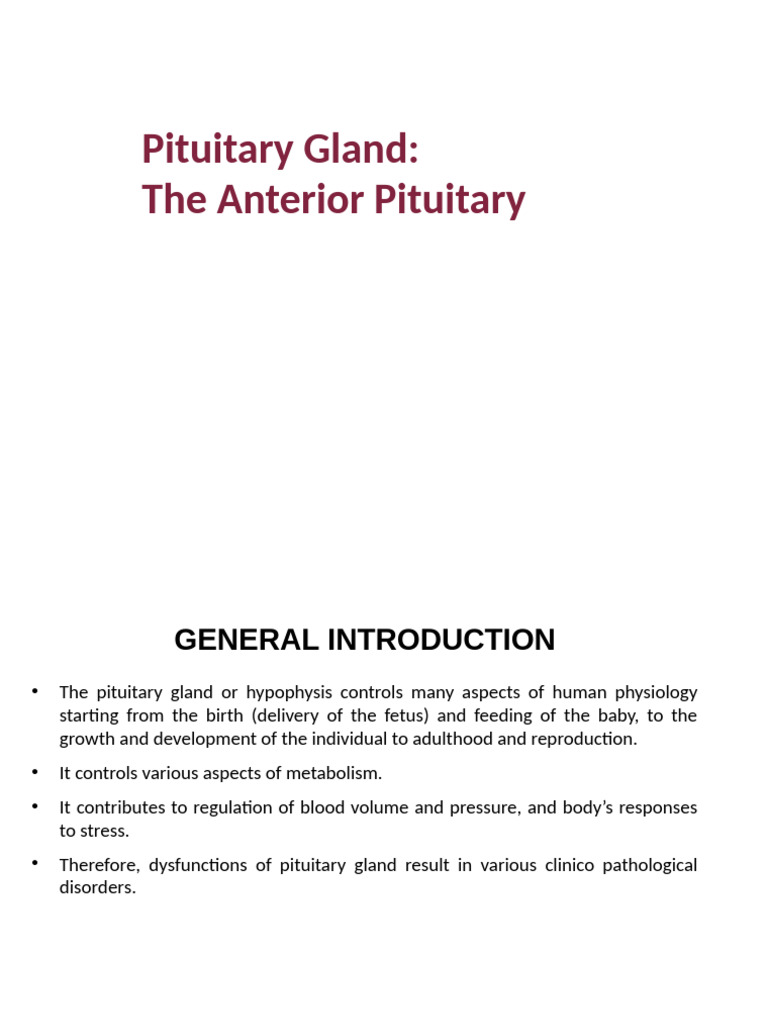 Ant Pitutary 6-2-25 | PDF | Pituitary Gland | Hypothalamus
