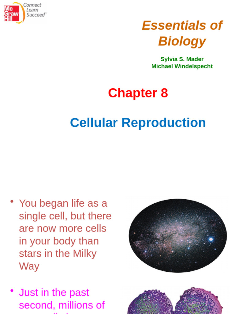 Cellular Reproduction Chapter 8 | PDF | Mitosis | Chromosome