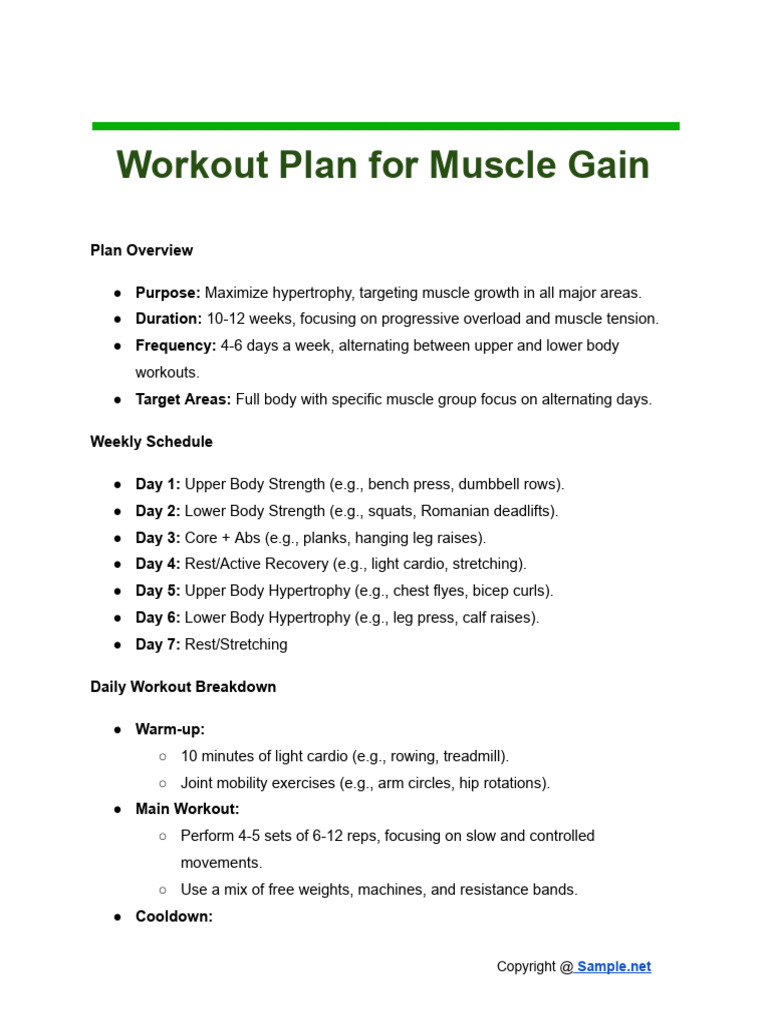 Muscle Gain Workout Plan Guide | PDF