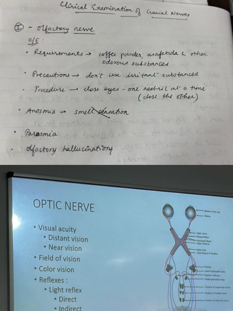 Clinical Examination of Cranial Nerves | PDF