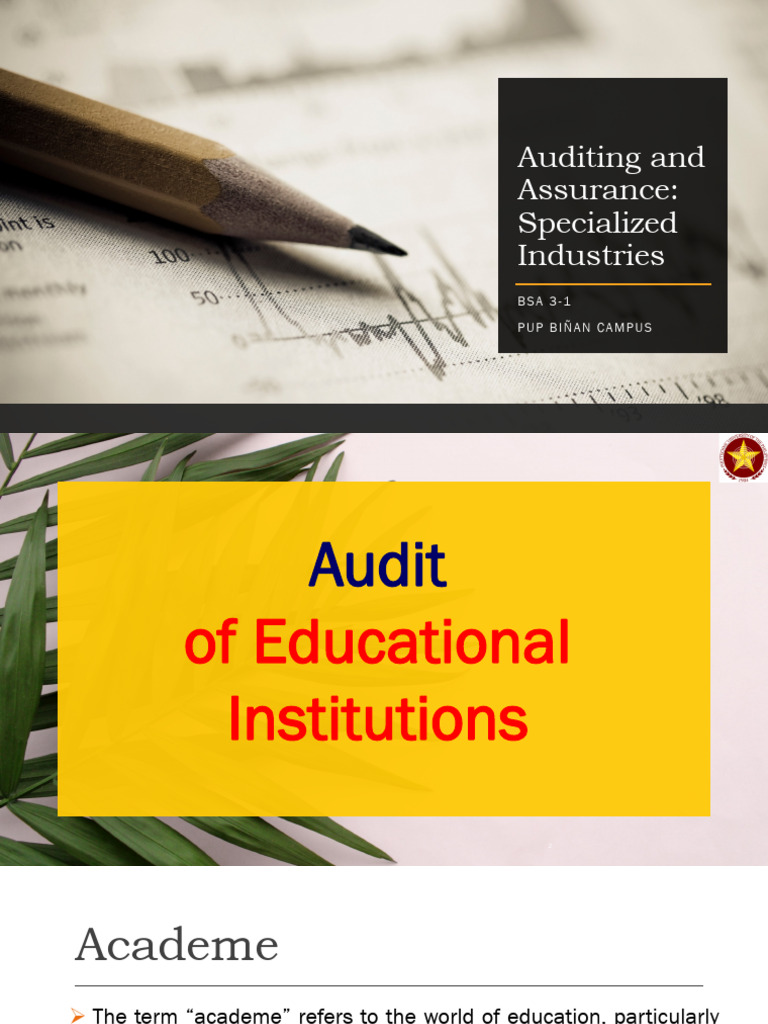 Audit of Educational Institutions | PDF | Intelligence | Learning