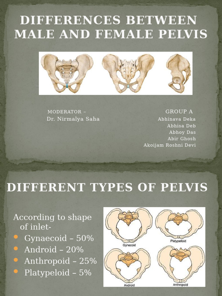 Male vs Female Pelvis Differences | PDF | Pelvis | Skeletal System