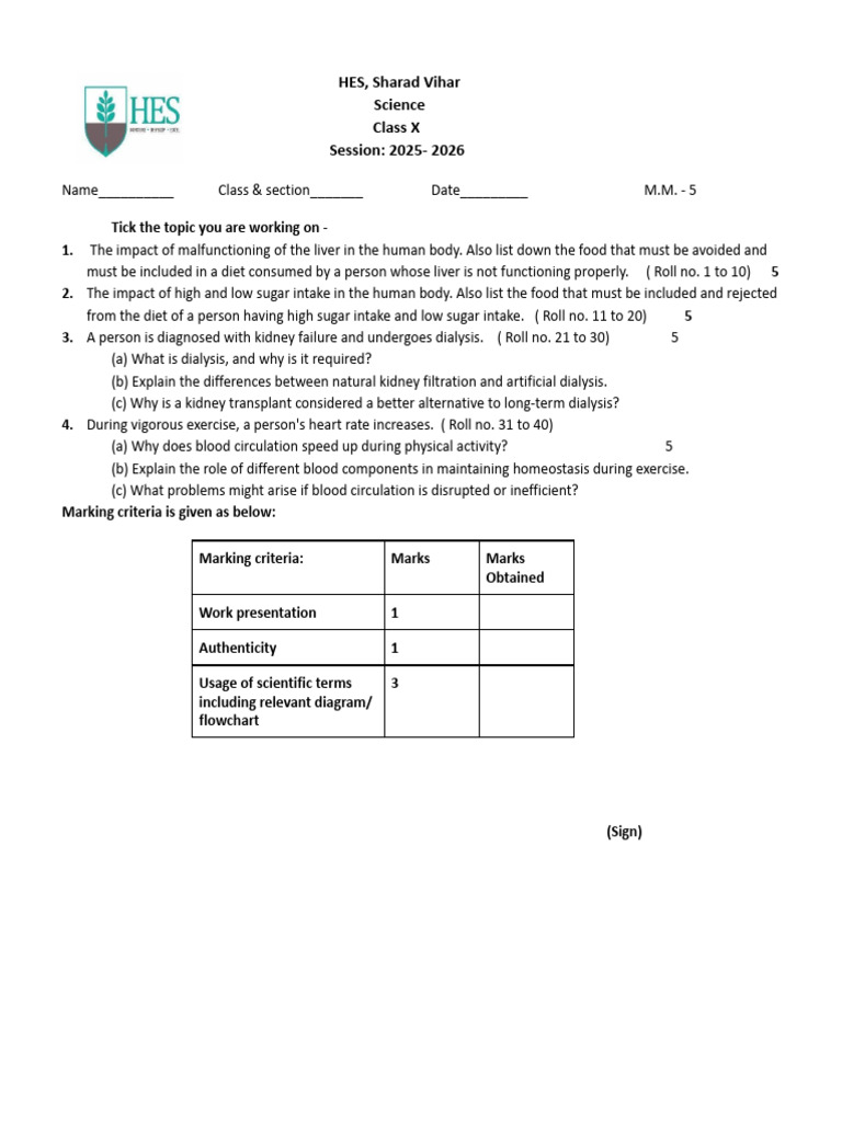 Summer HHW 2025-26 | PDF