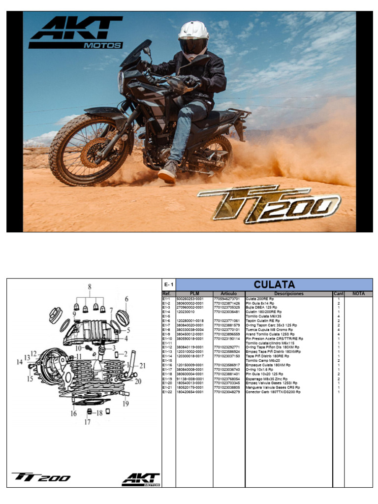 Ak TT200 Abs - 2025 | PDF