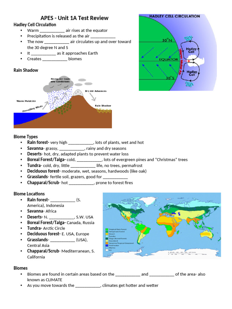 Apes Unit 1a Test Review Note Sheet 2020 | PDF | Forests | Oceans