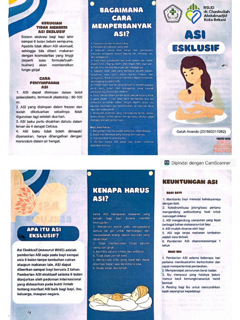 Leaflet Dan Sap Asi Ekslusif (Galuh Ananda) | PDF