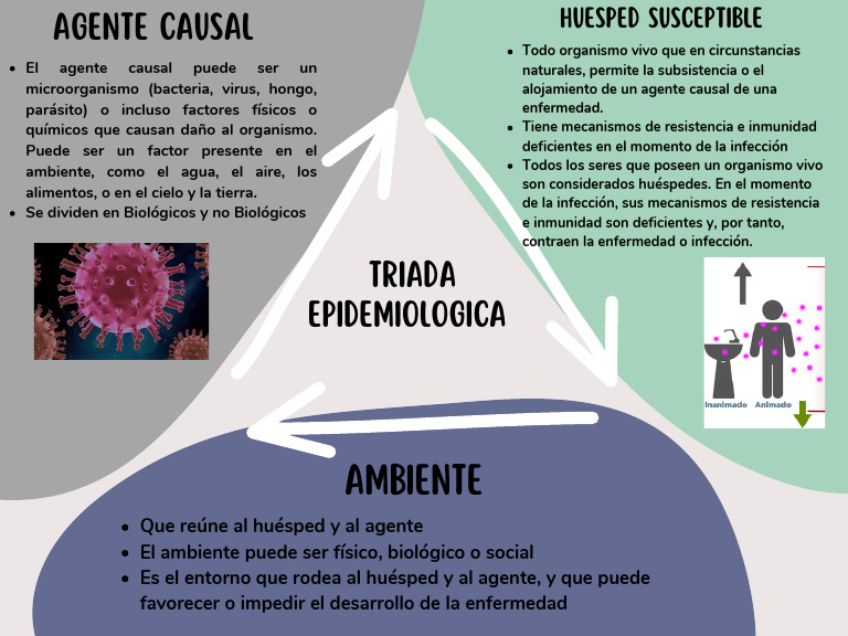 Triada Epidemiologica | PDF