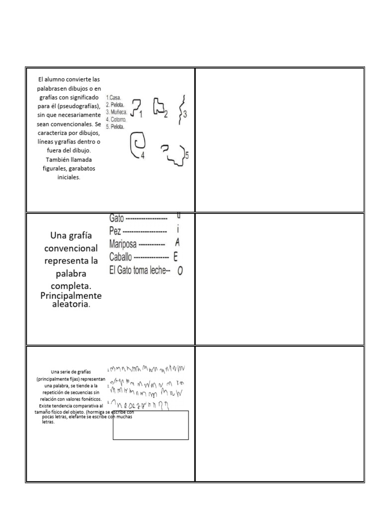 Nivel de Conceptuaizacion Clau | PDF