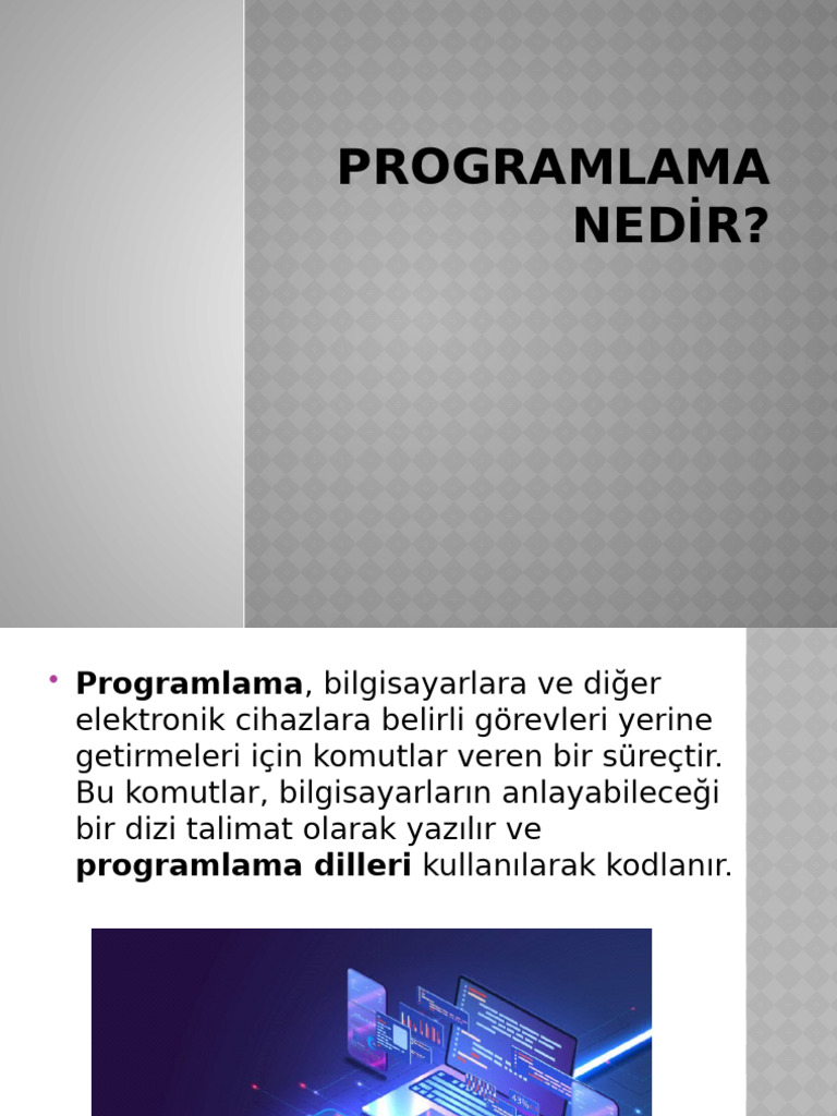 Programlama Nedir? | PDF