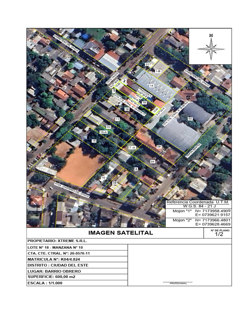 Imagen Satelital Lote 18 Ciudad del Este | PDF