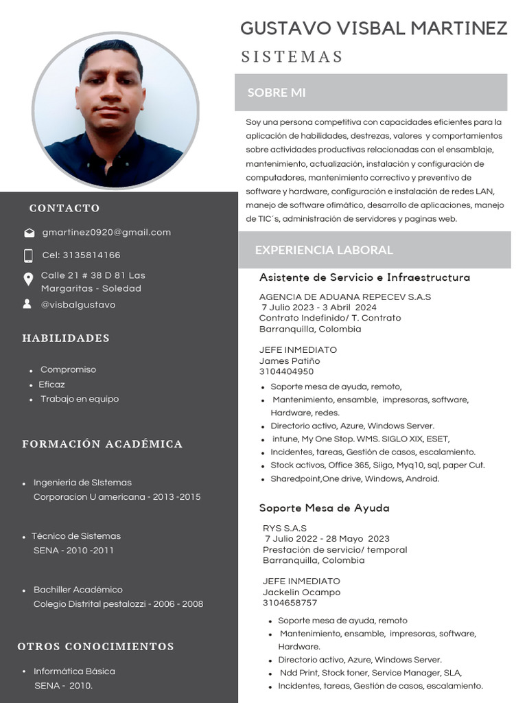 Perfil Profesional de Gustavo Visbal | PDF | Microsoft Office ...