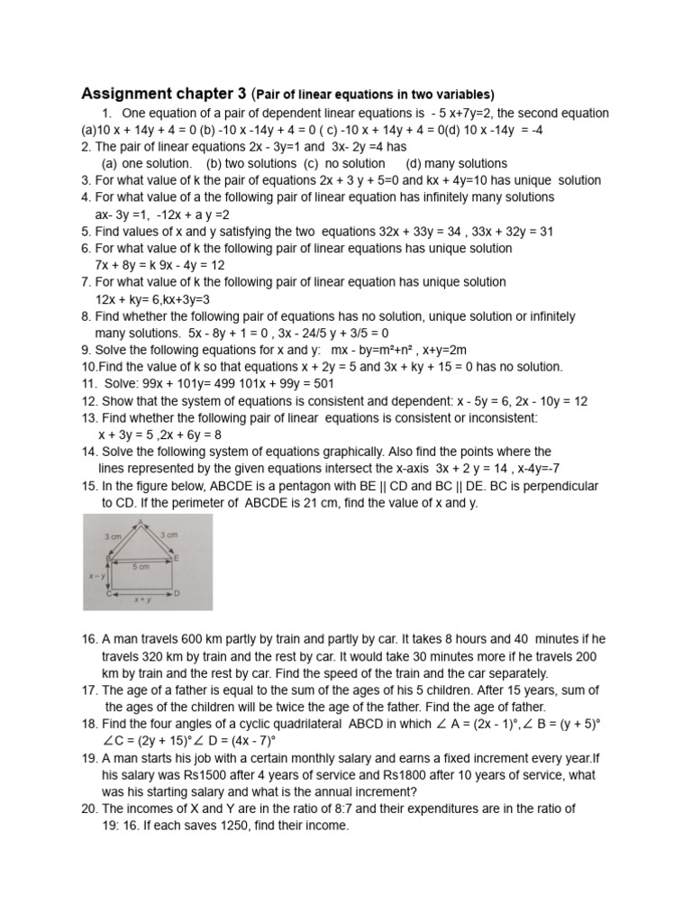 Maths Assignment Chapter 3 CLASS X | PDF | Equations | System Of Linear Equations