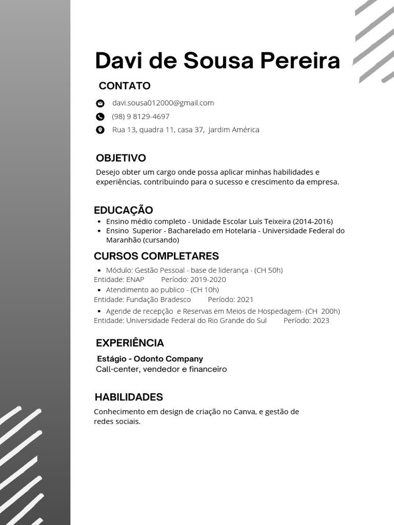 Currículo Davi | PDF