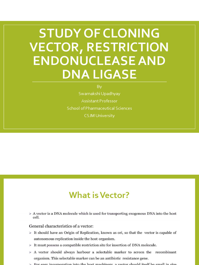 Study of Cloning Vector Restriction Endonuclease and DNA Ligase | PDF