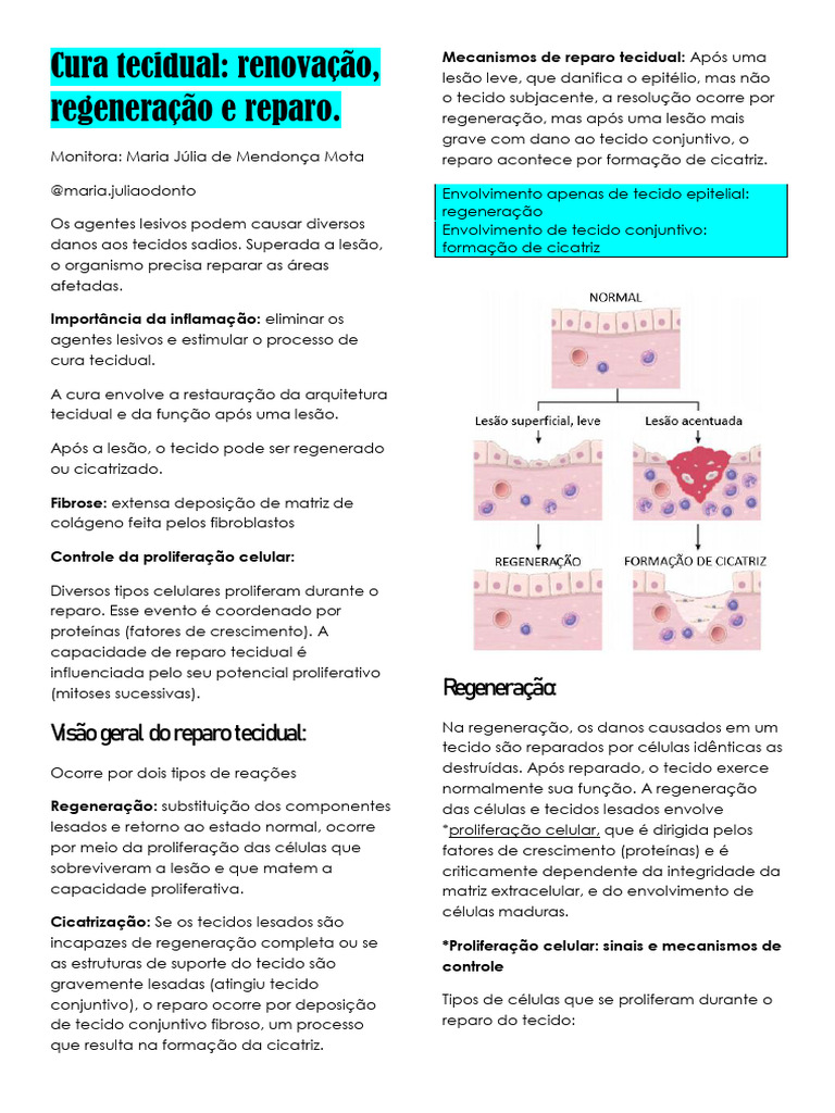 Reparo e Regeneração Tecidual | PDF | Cura | Cicatriz