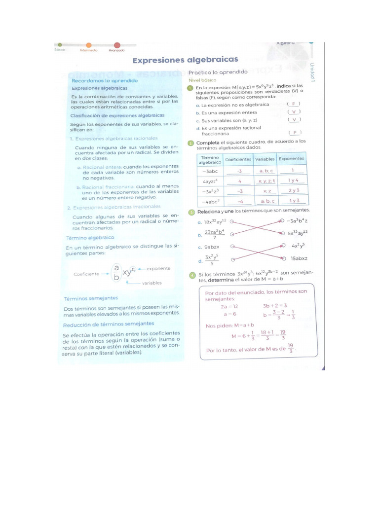 Expresiones Algebraicas | PDF