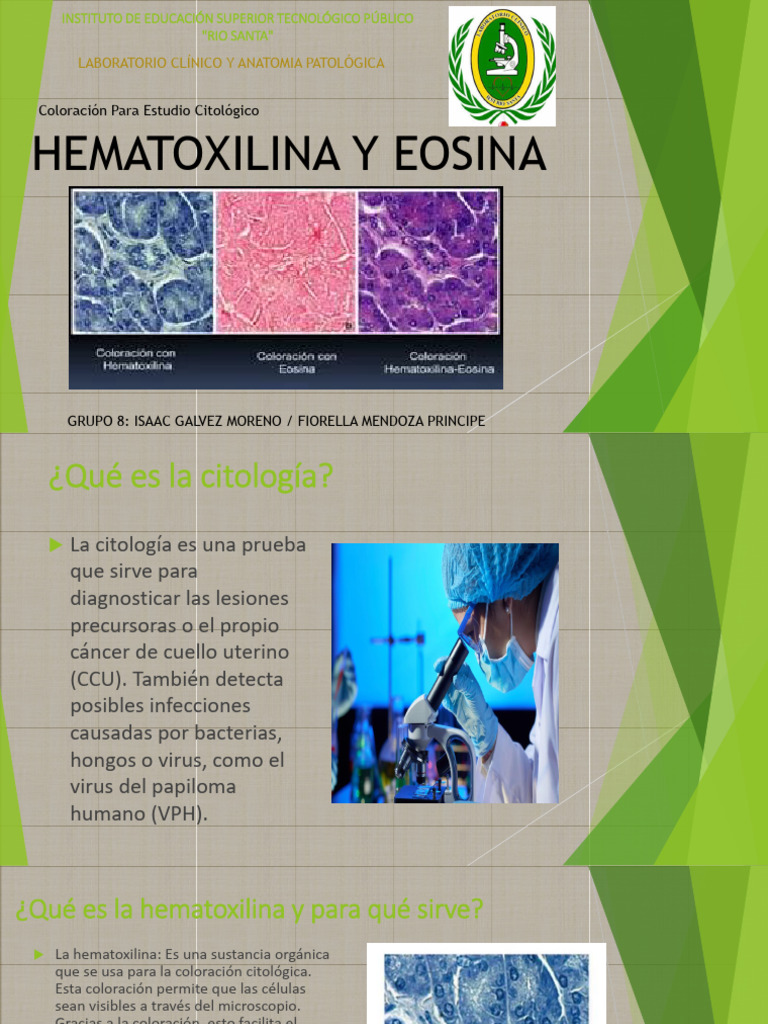 Tinción de Hematoxilina y Eosina | PDF | Tinción | Anatomía