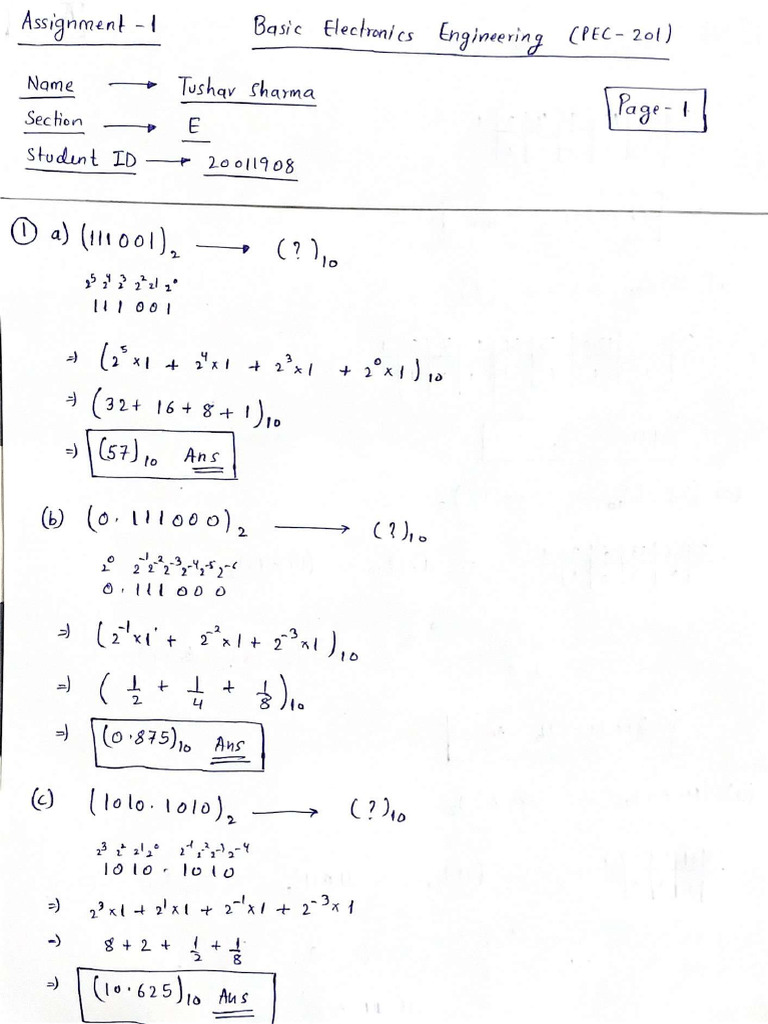 Assignment 1 Solution | PDF