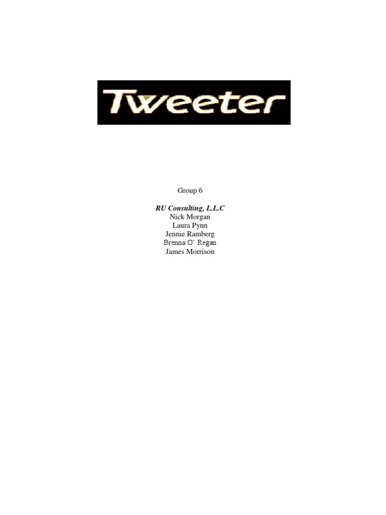 Tweeter Paper | PDF | Retail | Competitive Advantage